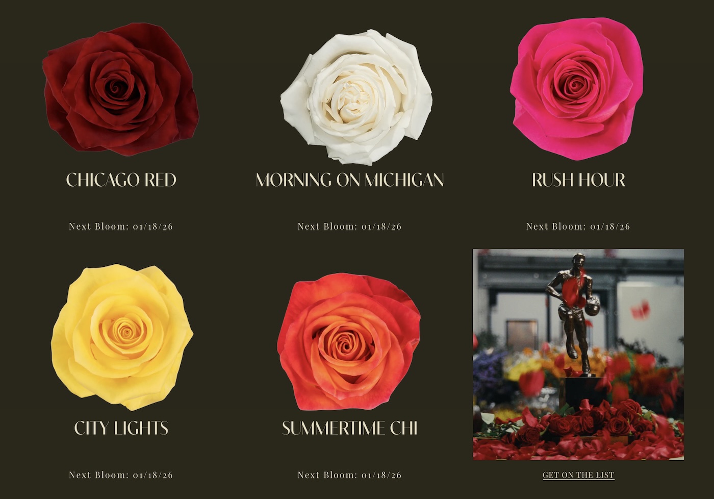 Derrick Rose Opens Rose's Flower Shop - Modern Notoriety